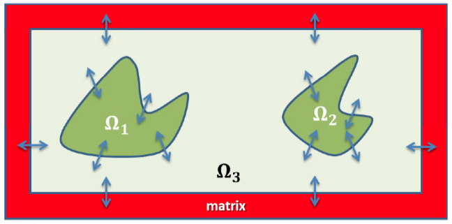 NSF Math Ecology Project
